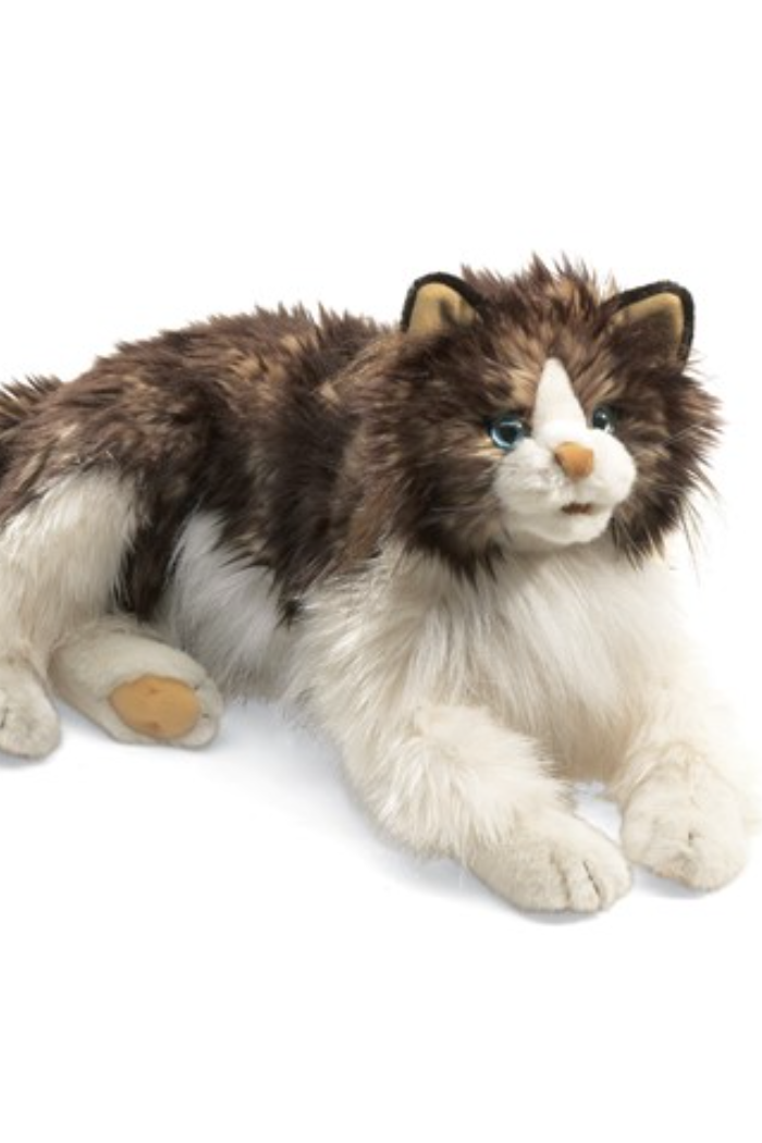 Ragdoll Cat Puppet – kitsandkaboodle