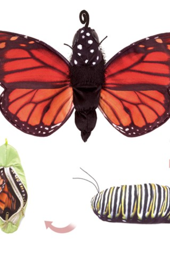 Monarch Life Cycle Reversible Puppet – kitsandkaboodle